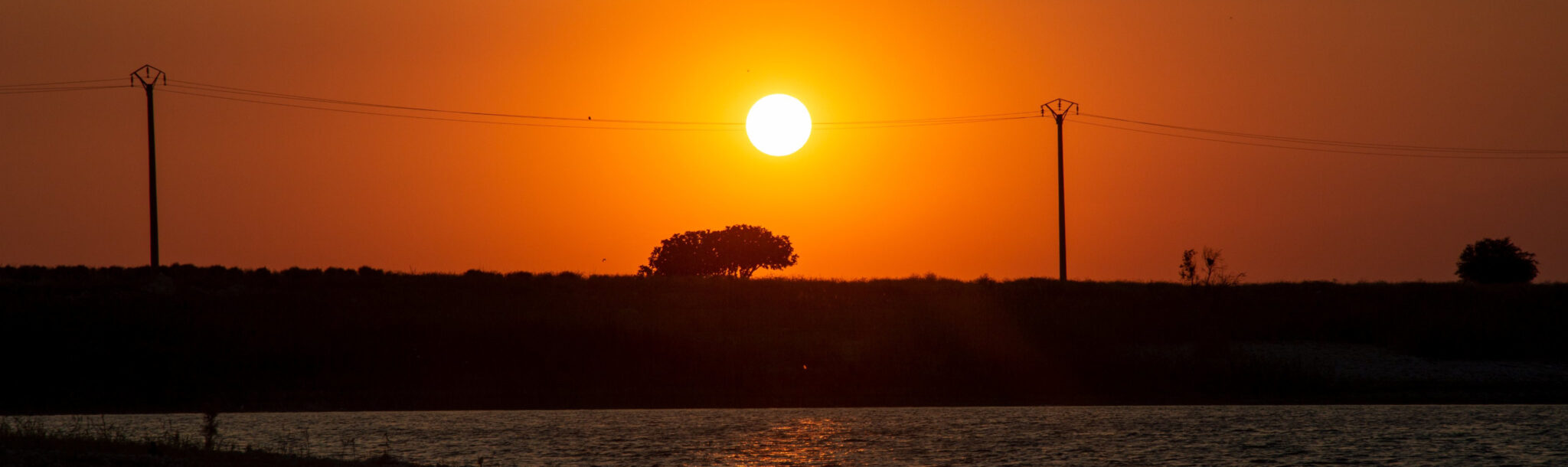 Meeting society – The Colors of the Revolution in Rojava ...